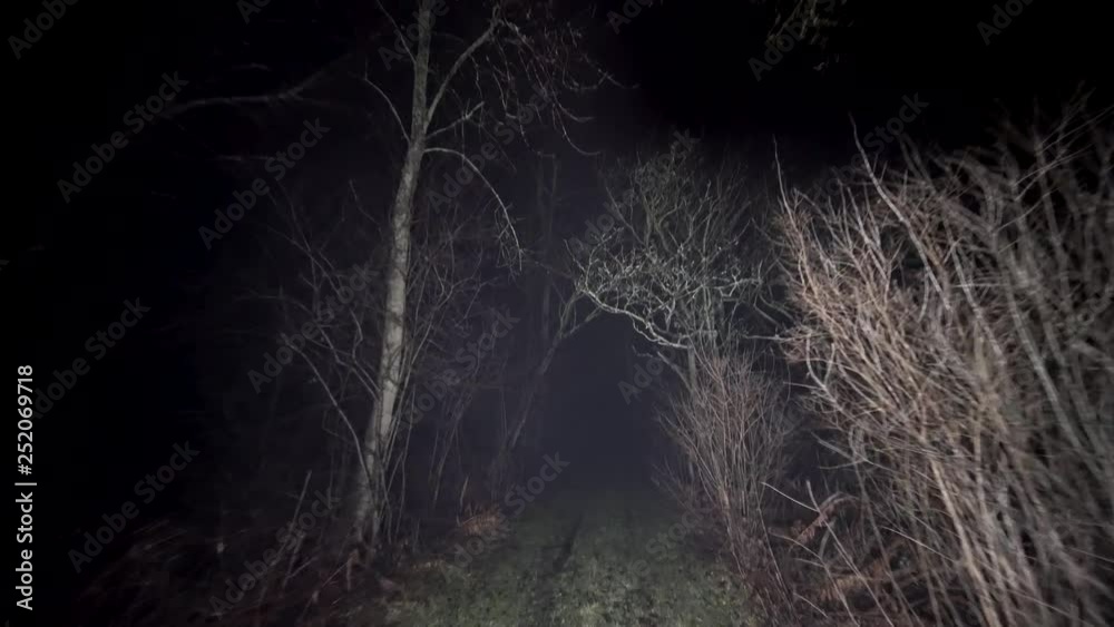 Walking through path in woods at nighttime. Running thorough misty deep ...