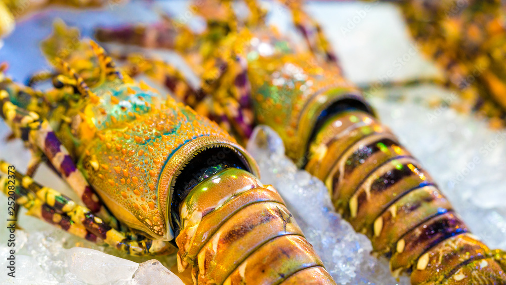 Foto de Thai Street Food - Giant RAINBOW LOBSTER in Phuket, Thailand do ...