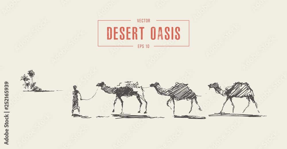 Desert Caravan Drawing