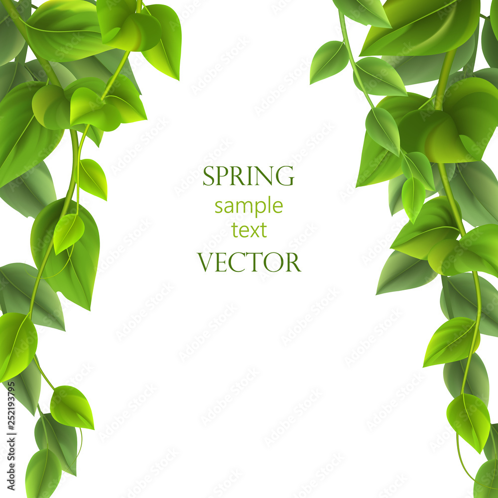background with curly twigs, vines, vector leaves Stock Vector | Adobe ...