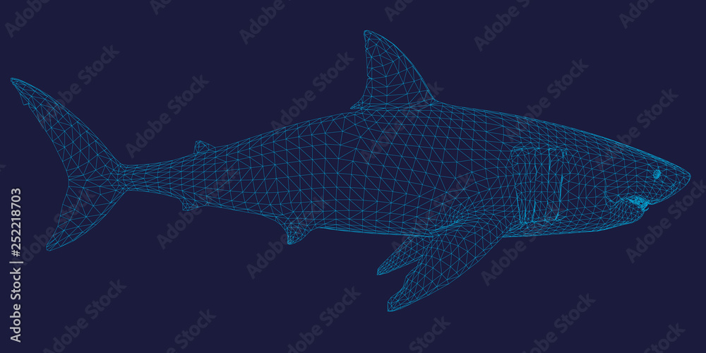 Polygonal shark frame of blue lines on a dark background. Side view. 3D ...