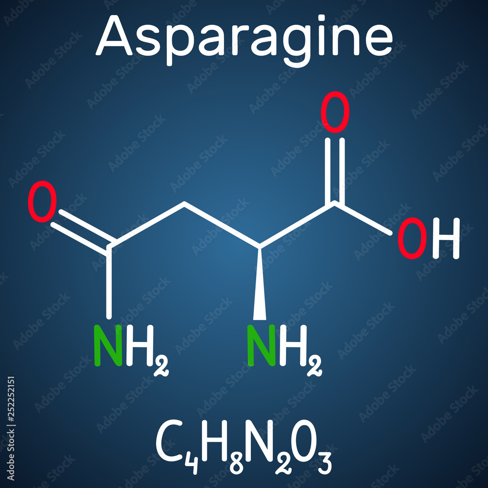 Asparagine (L-asparagine , Asn, N) amino acid molecule. It is is used ...