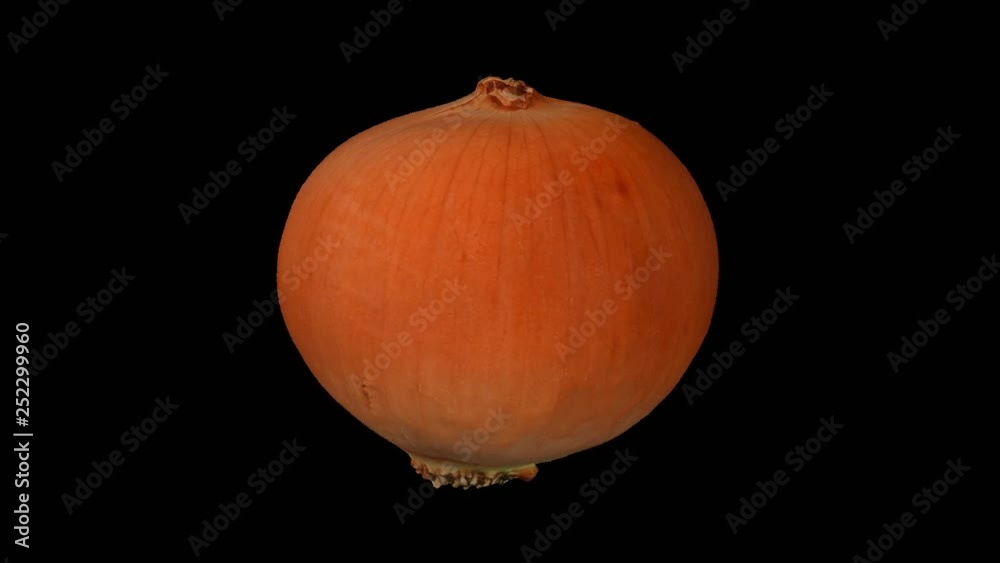 Realistic render of a rotating yellow onion on transparent background ...