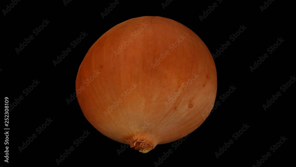 Realistic render of a rotating yellow onion on transparent background ...