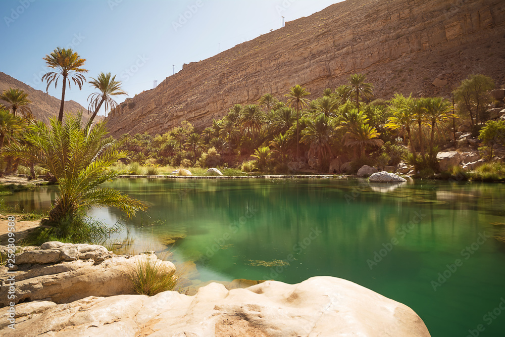 Amazing Lake and oasis with palm trees (Wadi Bani Khalid) in the Omani ...
