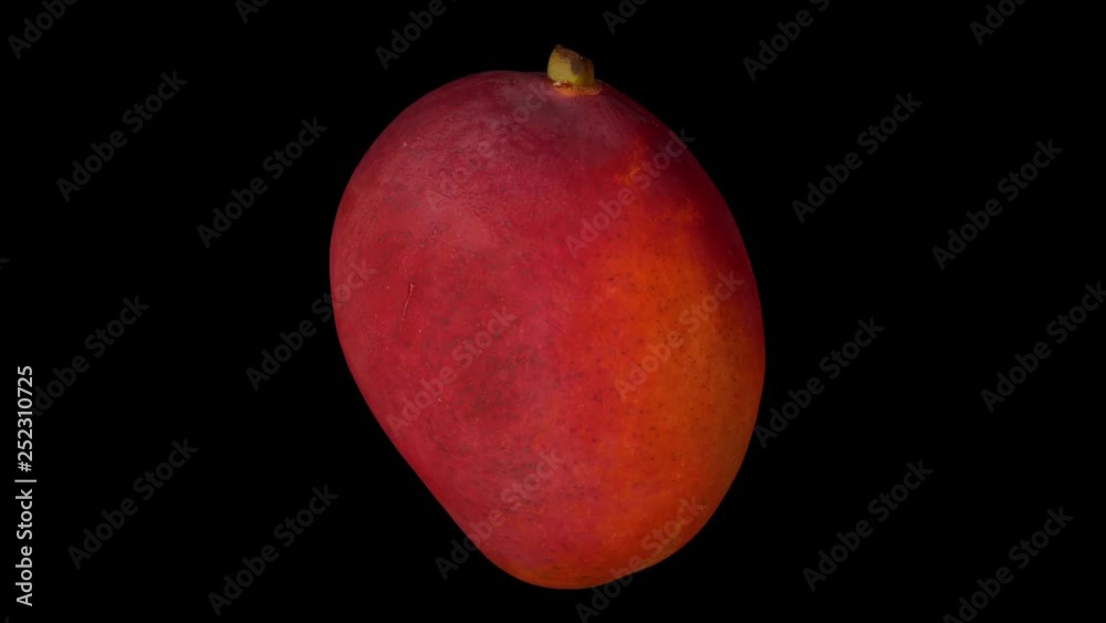 Realistic render of a rotating Sindhoora mango on black background. The ...