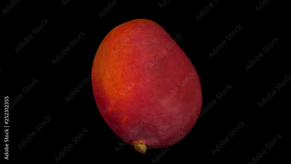 Realistic render of a rotating Sindhoora mango on black background. The ...