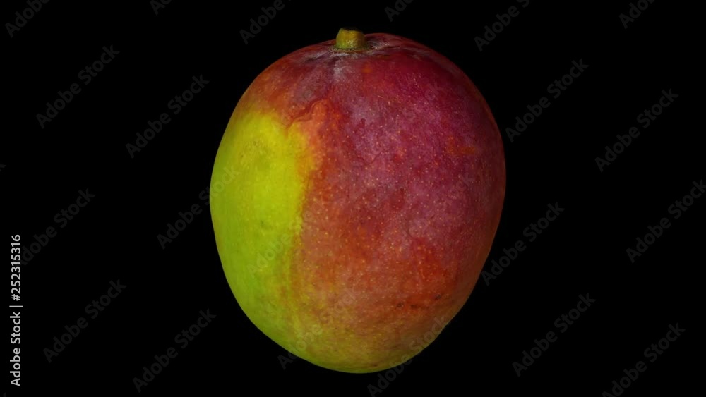 Realistic render of a rotating Sindhoora mango on black background. The ...