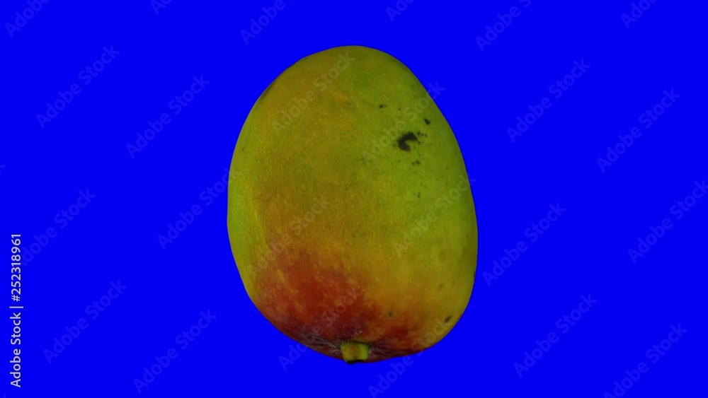 Realistic render of a rotating Sindhoora mango on blue background. The ...