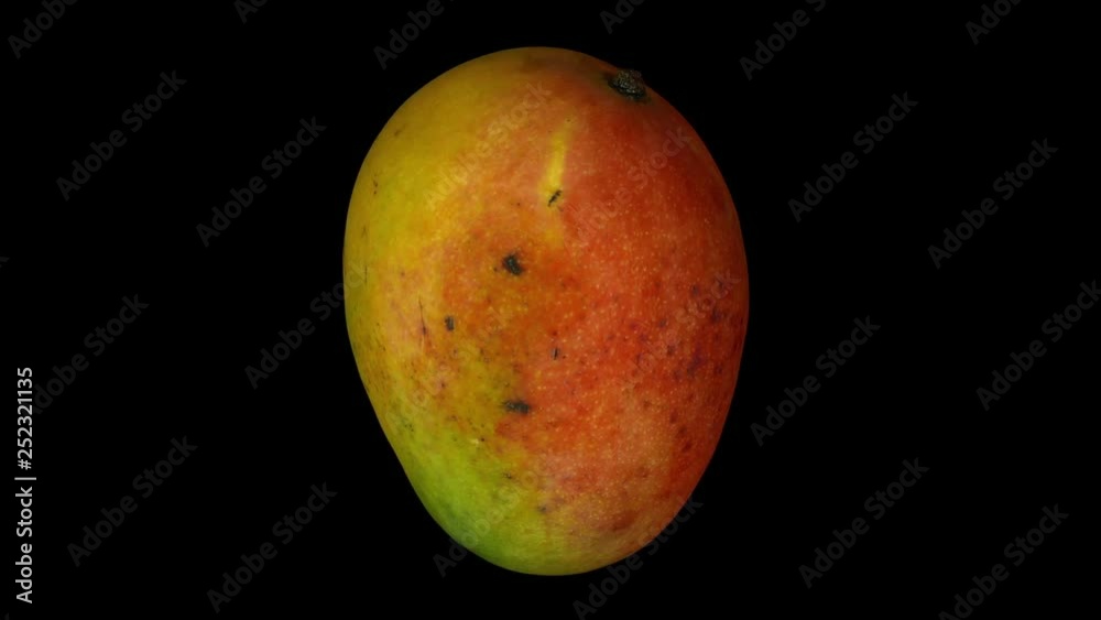 Realistic render of a rotating Sindhoora mango on black background. The ...