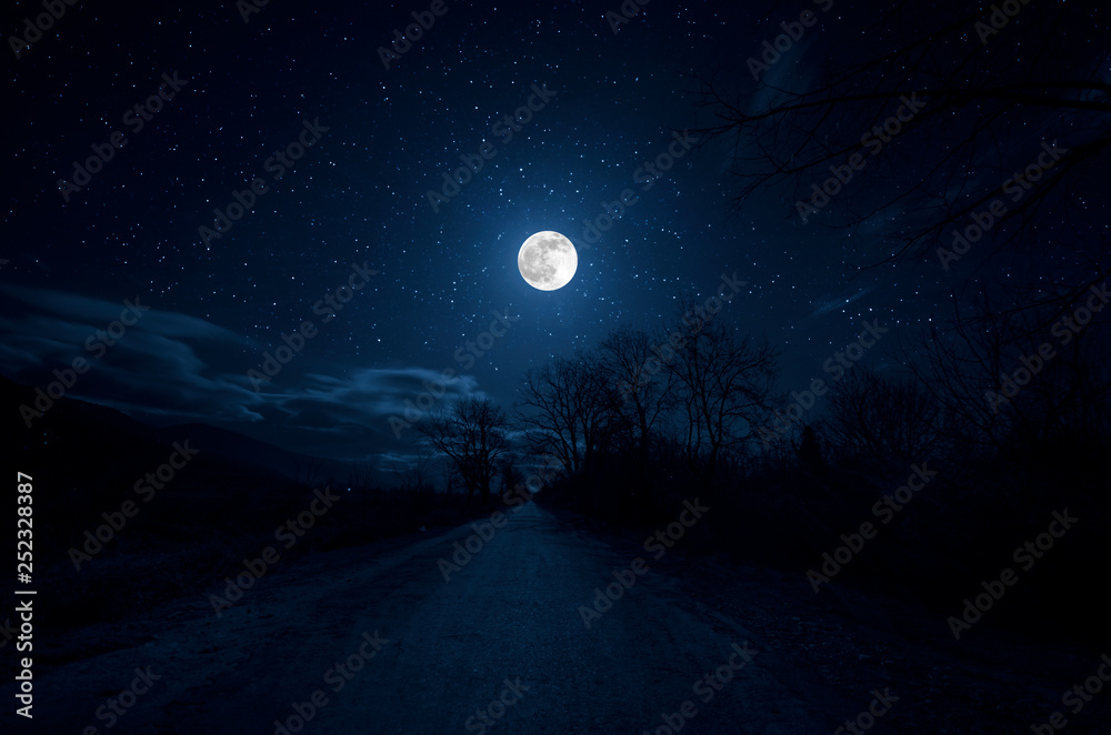 Mountain Road through the forest on a full moon night. Scenic night ...