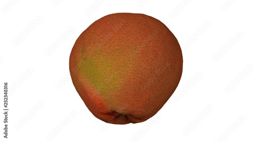 Vidéo Stock Realistic render of a rotating grapefruit on white ...