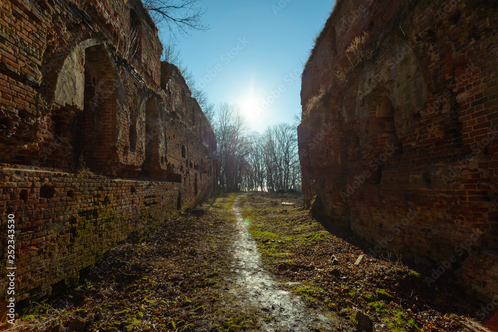 ruins of medieval Prussian castle of Balga belonging to the Knights of ...