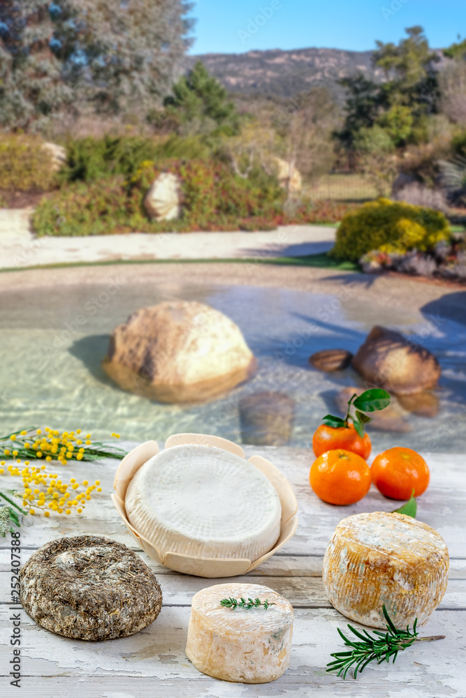 Board of Corsican traditional varity of goat and sheep cheese with ...
