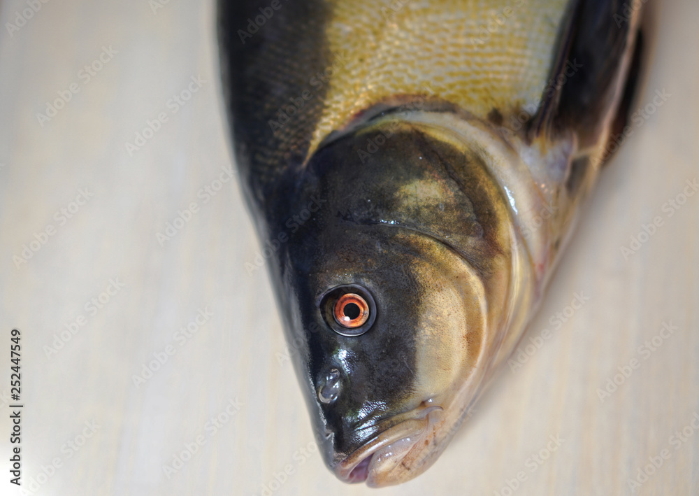 Coloring black lyn fish on a light board. Cooking food in a restaurant ...