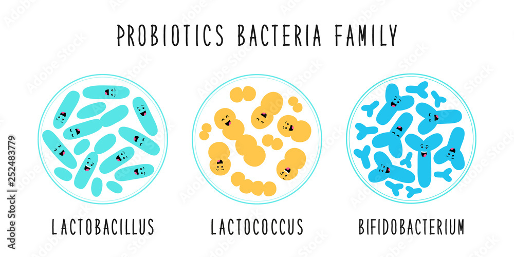 Funny probiotics bacteria family cartoon characters isolated on white ...