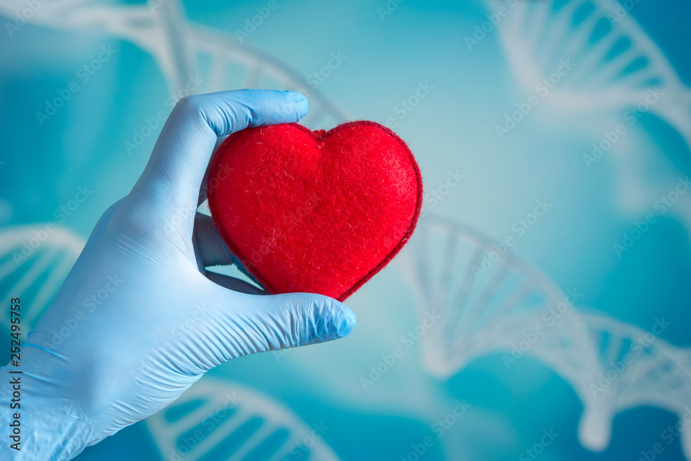 hand gives a red heart to a hand - blood donation,world blood donor day ...