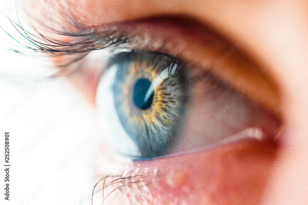 Beautiful Human Eye with Long Eyelashes Macro View. Amazing View of ...
