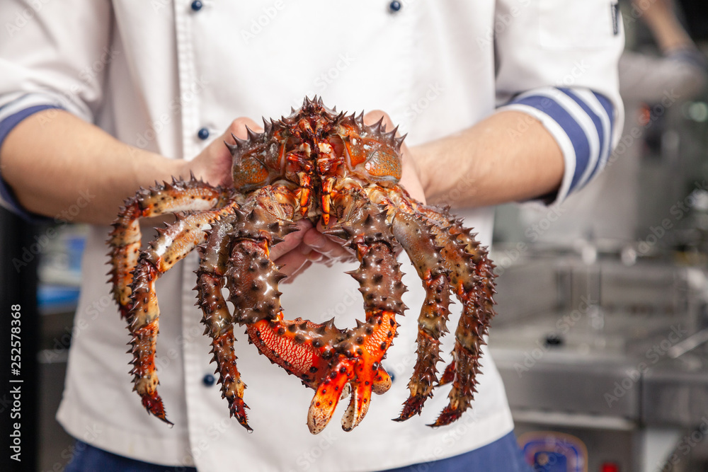 Chef of premium michelin restaurant in white uniform is holding fresh ...