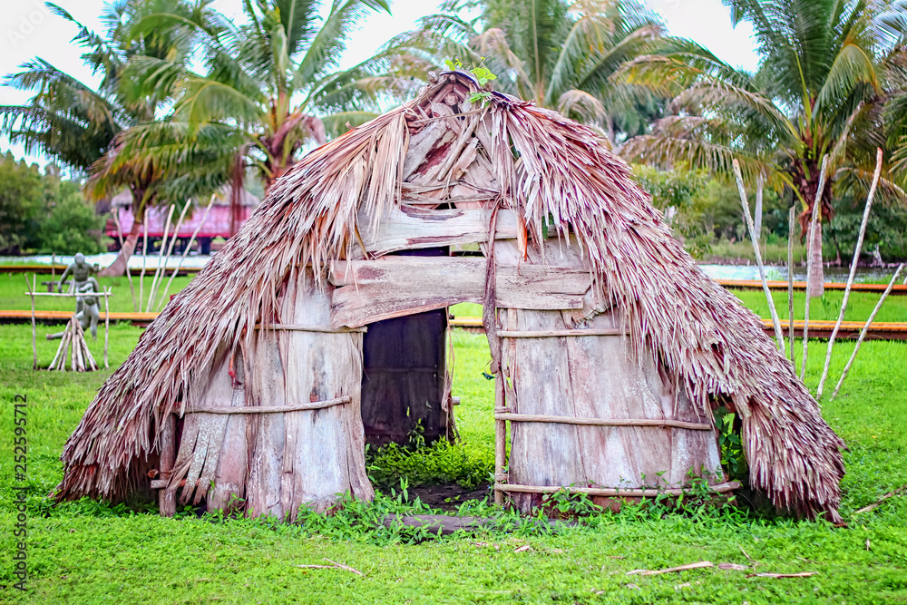 Straw palm leaves and reeds in traditional indian village Boca de Guama ...