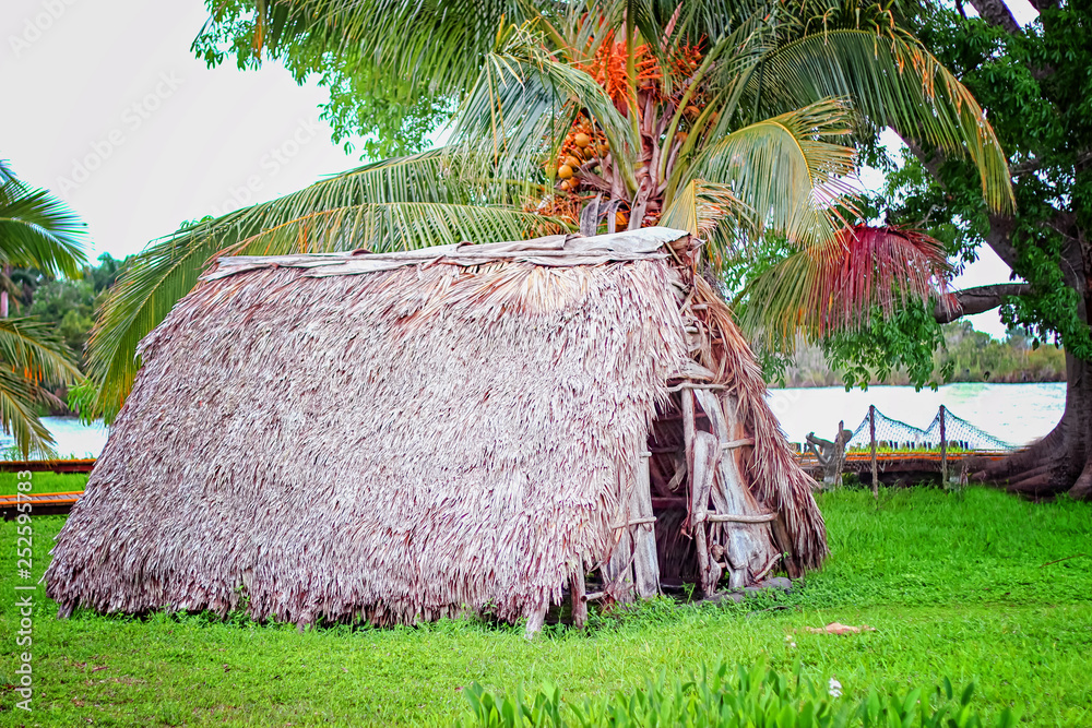 Straw palm leaves and reeds in traditional indian village Boca de Guama ...