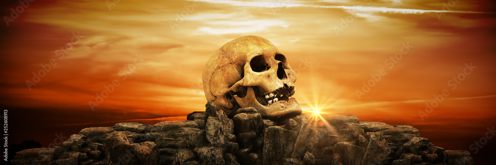 human skulls at sunset. 3d rendering Stock Illustration | Adobe Stock