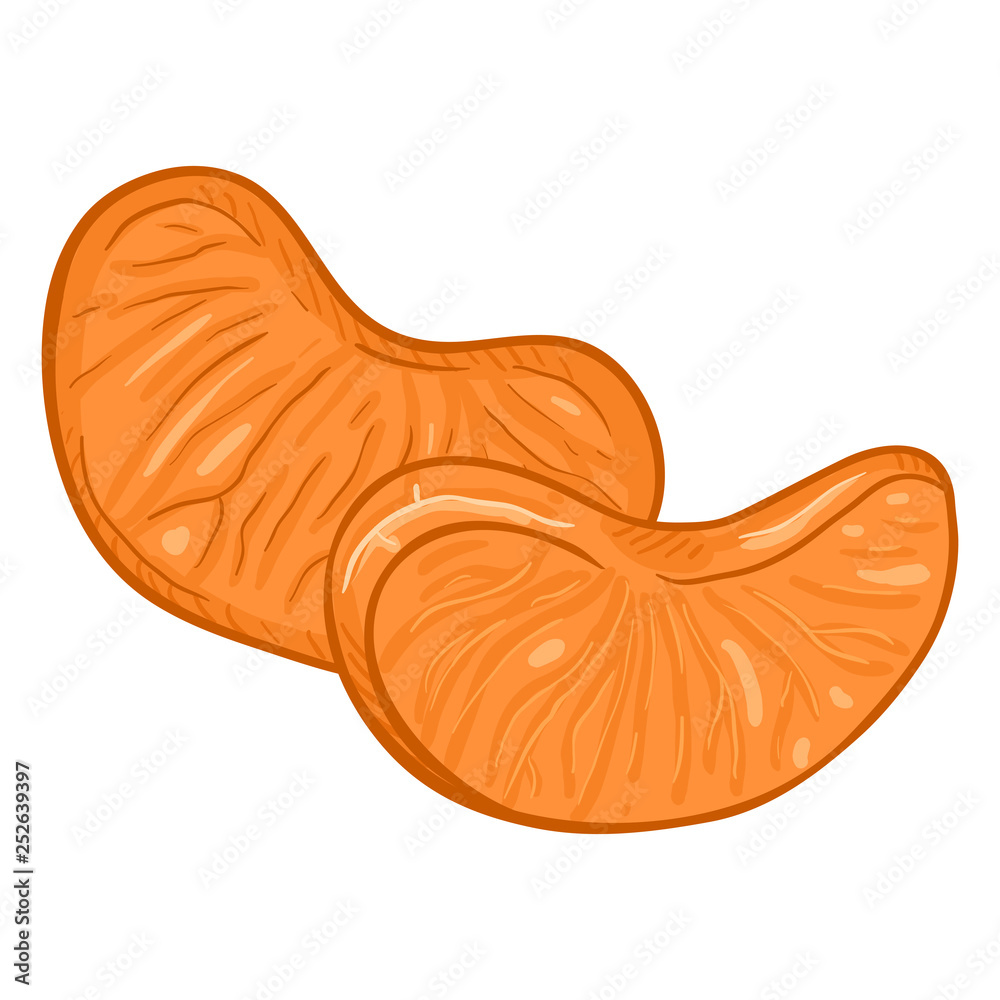 Vector Cartoon Tangerine without Peel. Mandarin Slices Stock Vector ...