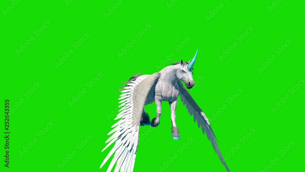 Unicorn Pegasus Winged Horse Flycycle Loop Front Green Screen 3D ...