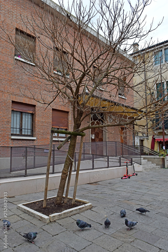 nursery school building in the old ghetto ( ghetto vecchio )area ...