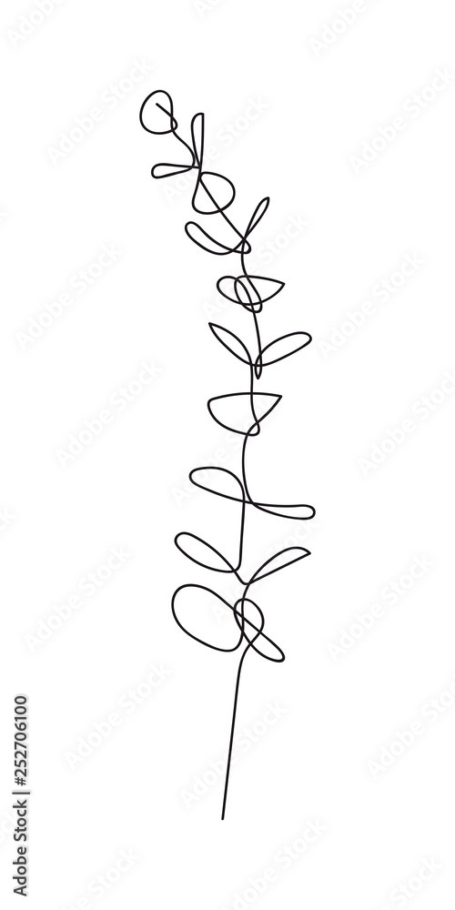 Eucalyptus baby blue branch continuous line drawing. One line . Hand ...