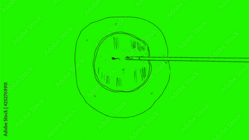 2d Animation motion graphics showing a drawing of In vitro ...