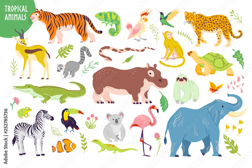 Vector set of flat hand drawn tropical animals, birds, reptiles, plants ...