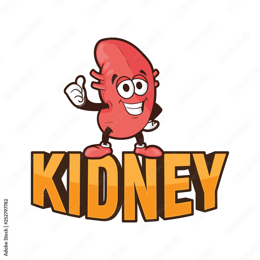 World kidney day vector cartoon human body health organ smiling mascot ...