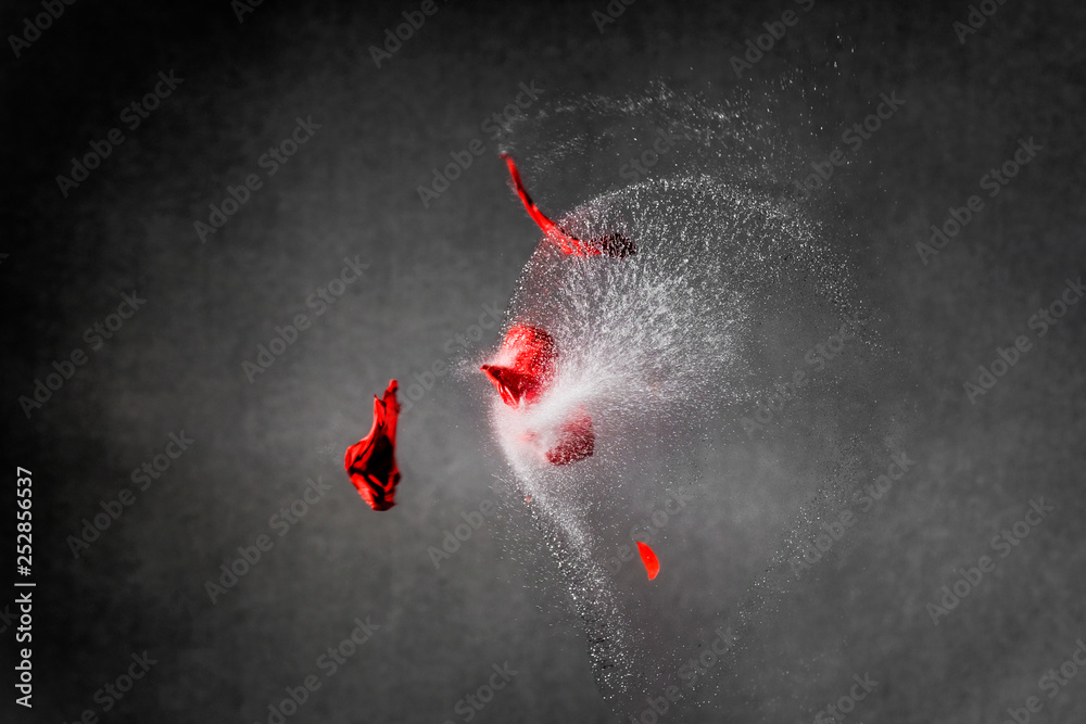 Highspeed capture of red balloon parts and waterdrops splashing away ...