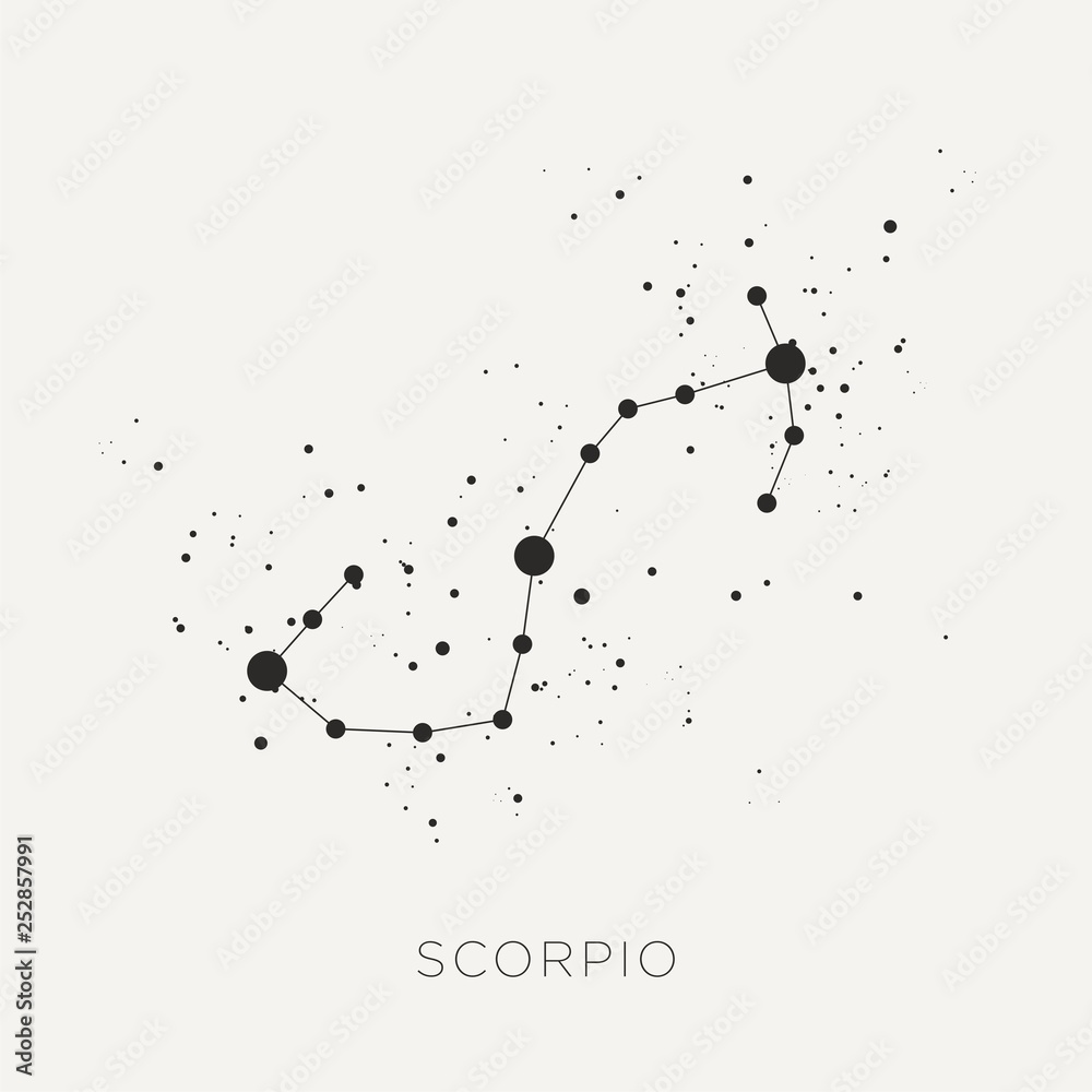 Star constellation zodiac scorpio black white vector Stock Vector ...