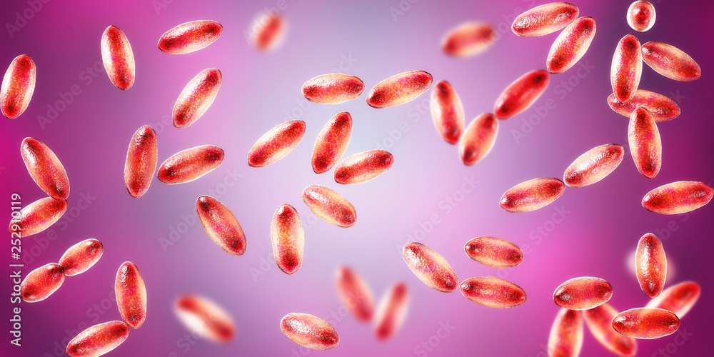 Plague bacteria Yersinia pestis, 3D illustration. Gram-negative ...