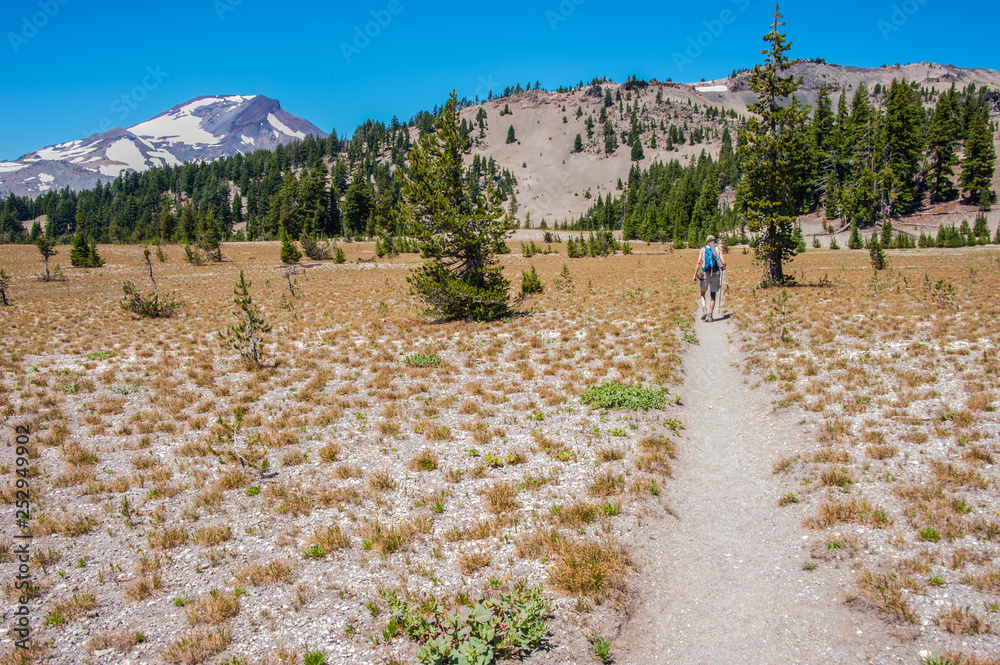 Hiking Trail in 3 Sisters Wilderness Stock Photo | Adobe Stock