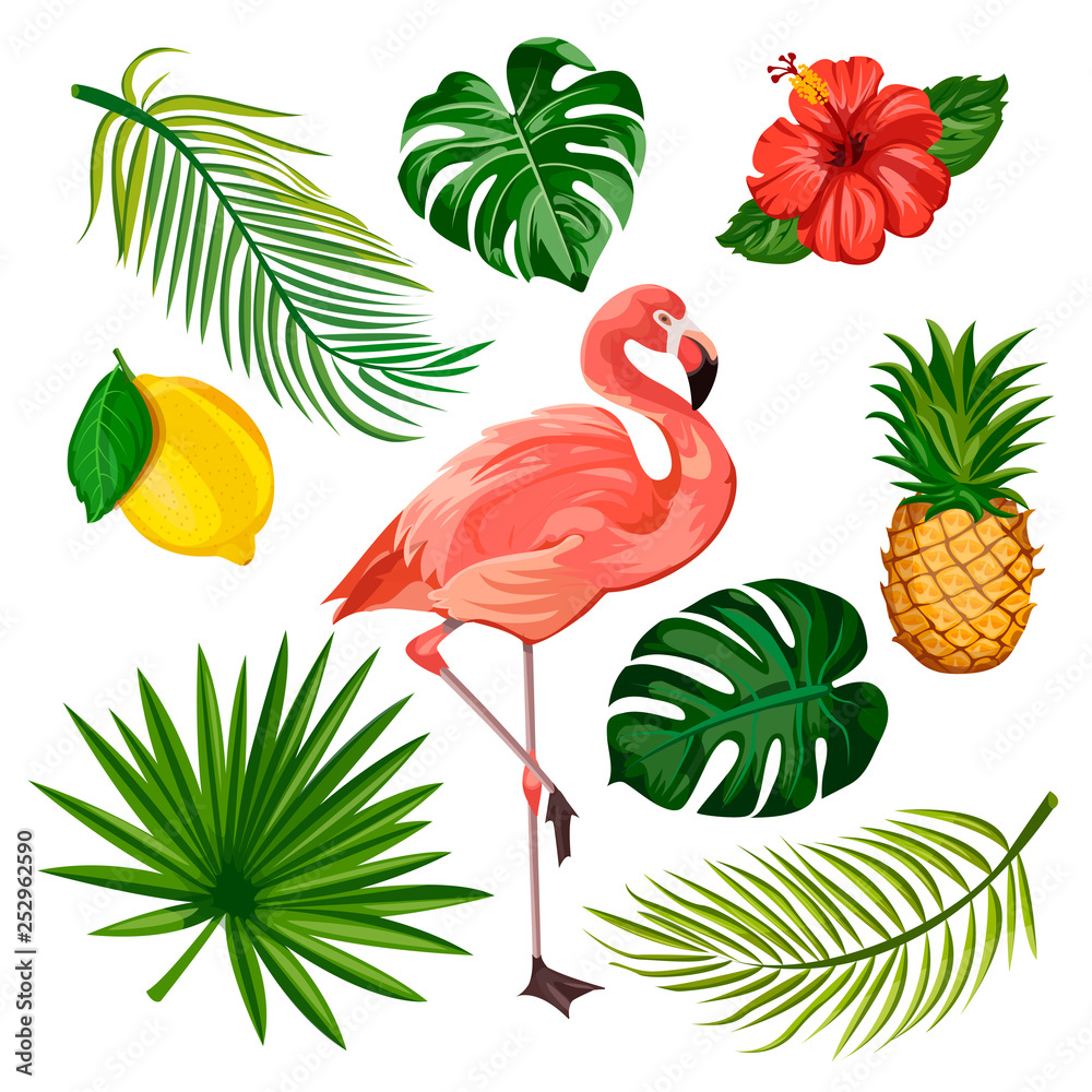 Summer tropical design elements set, isolated. Vector cartoon ...
