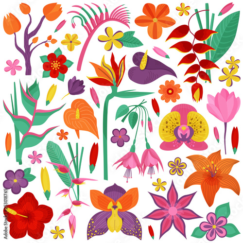 Cartoon Hawaiian Flowers