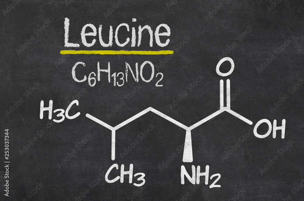 Blackboard with the chemical formula of Leucine Stock Illustration ...