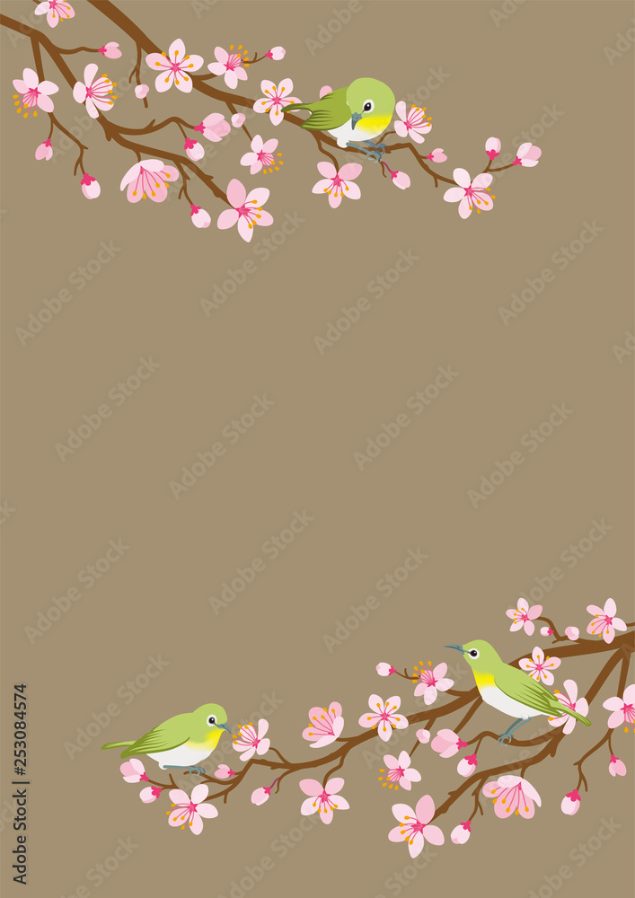 Small birds perch on cherry blossom branch -Zosterops japonicas ...