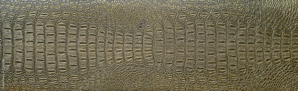 crocodile skin Stock Photo | Adobe Stock