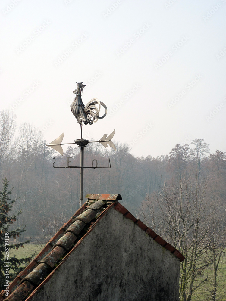 Banderuola sul tetto e rosa dei venti Stock Photo | Adobe Stock