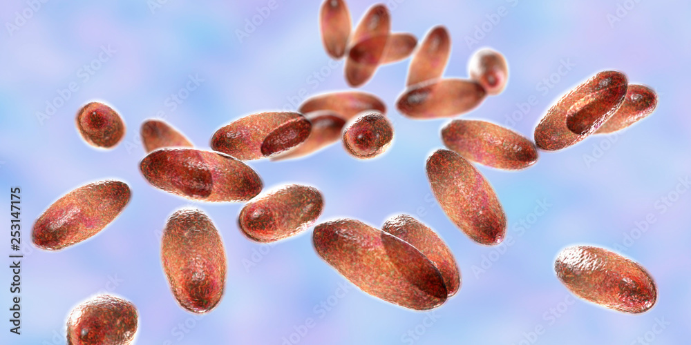 Plague bacteria Yersinia pestis, 3D illustration. Gram-negative ...