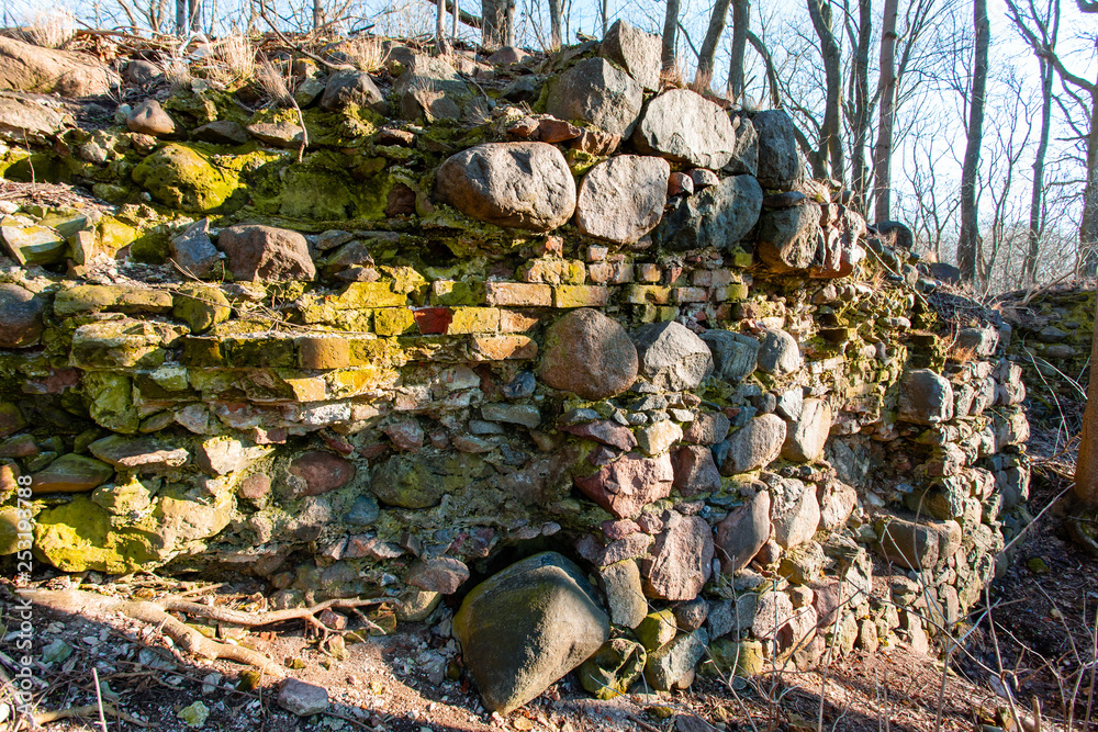 ruins of medieval Prussian castle of Balga belonging to the Knights of ...