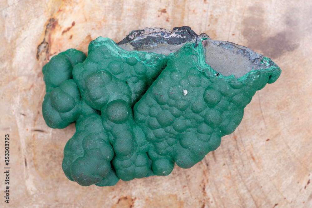 Botryoidal Malachite cluster from Democratic Republic of the Congo on ...