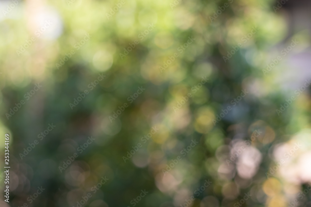 Bokeh of Tree Leaves for nature background and save green concept,soft ...