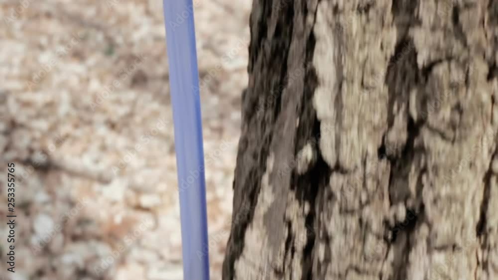 Side detail handheld shot: a sprout, connected to a tube system ...