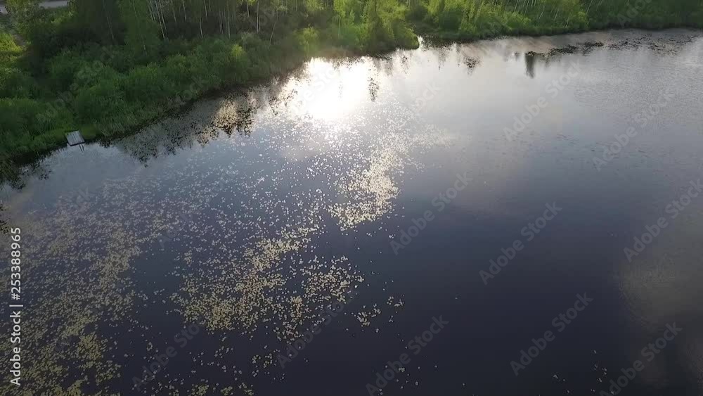 Vidéo Stock Water caltrop, chestnut, buffalo nut, bat nut, devil pod ...