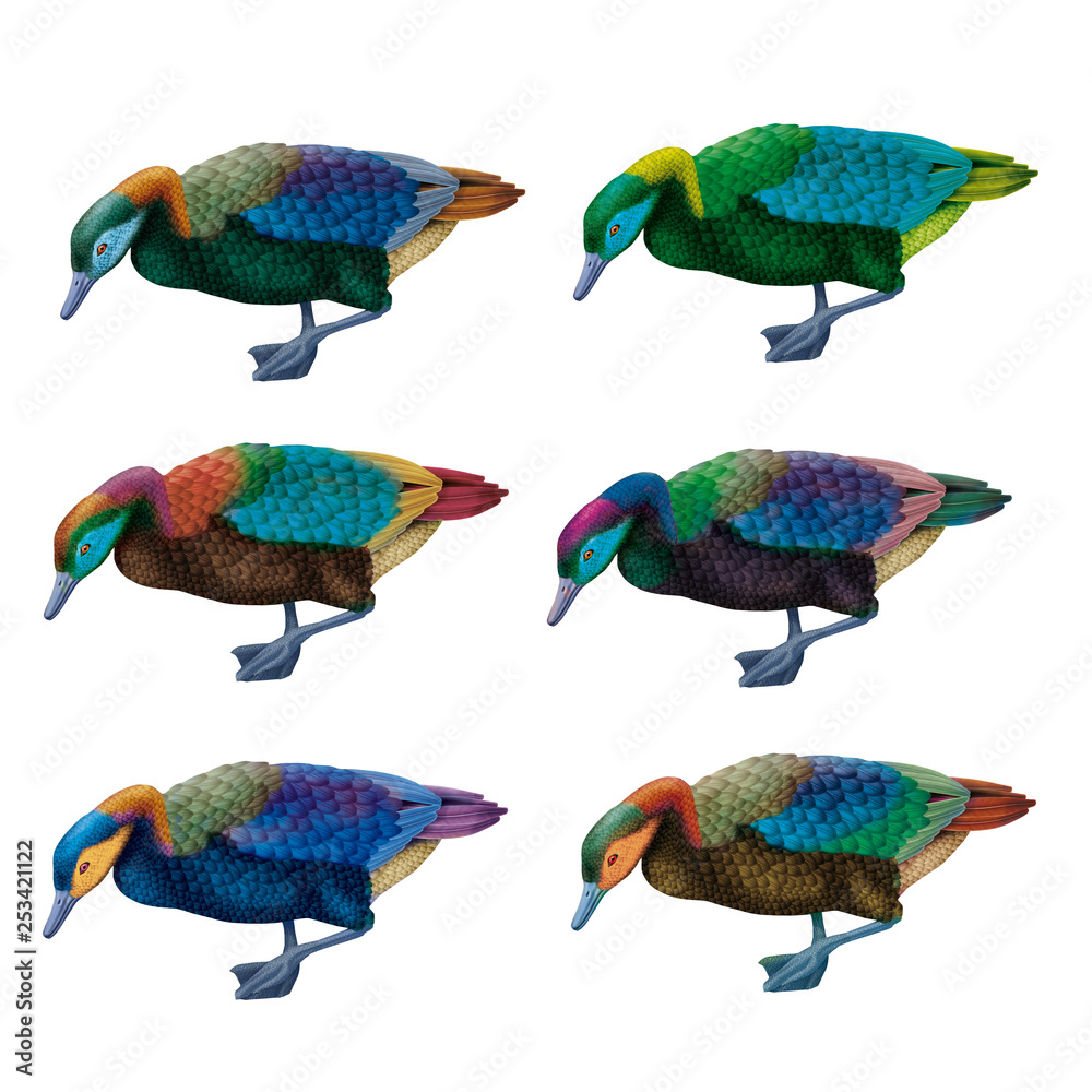 ois coloré, oiseau coloré , canard, oiseau imaginaire, couleur, oiseau ...